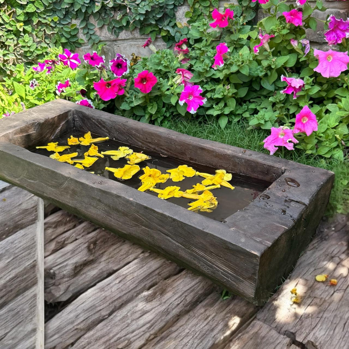 The Pulse of the Earth: How Biophilic Design Is Shaping the Future of ...