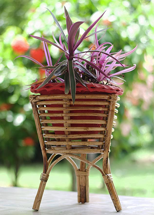 Cane Planter 4 — Khojcrafts